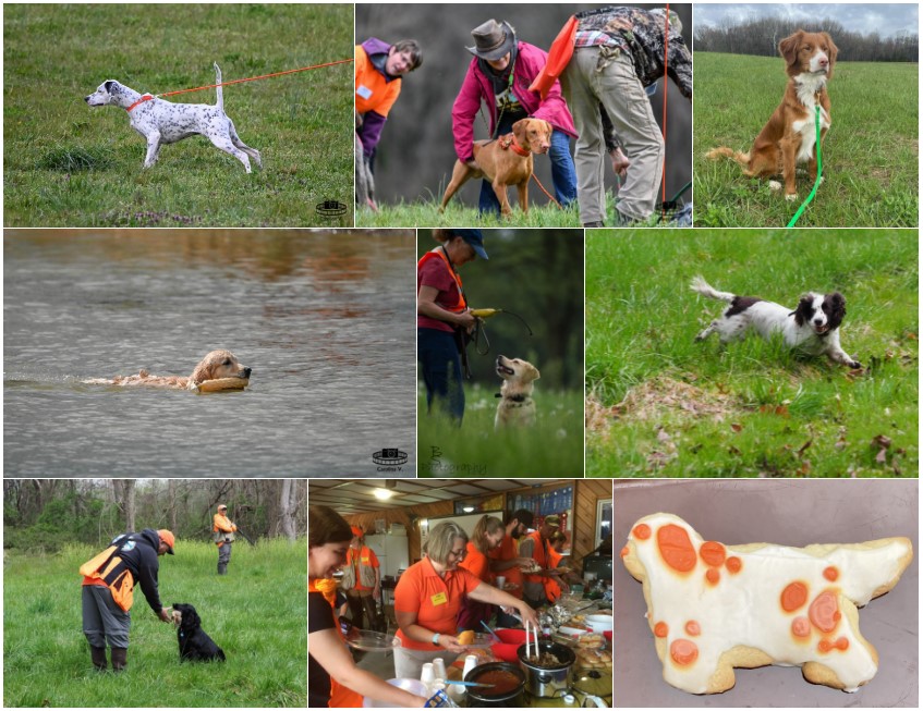 Maryland Sporting Dog Association