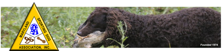 Specialties, Supported Entries and Sweepstakes at AKC Dog Shows ...