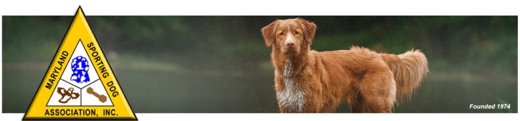 Specialties, Supported Entries and Sweepstakes at AKC Dog Shows ...